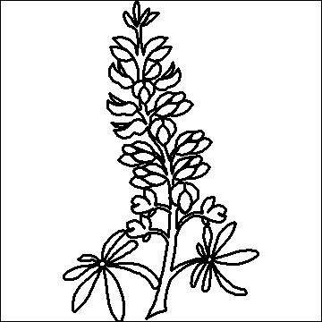 Bluebonnet-L00067* : It's A Quilt Thing! - Designs by Laurie Thomas for ...